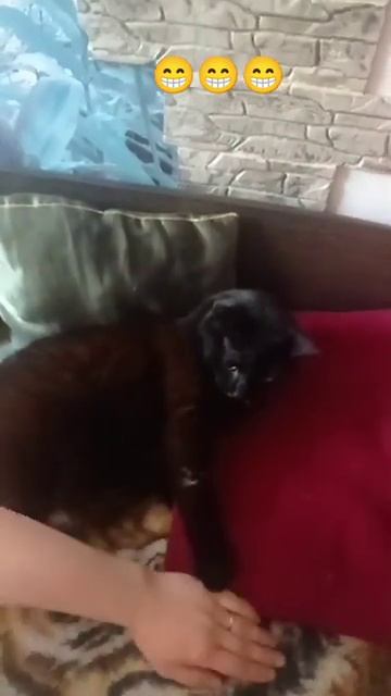 5 мая 2024 г [get.gt]