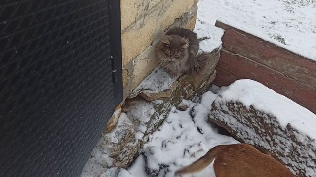 26 января 2026г.Каникулы продолжаются. Ожидается очень сильный ветер 😒