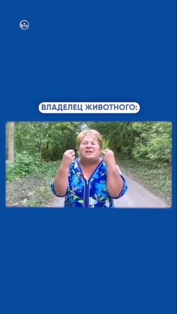 Без анализов