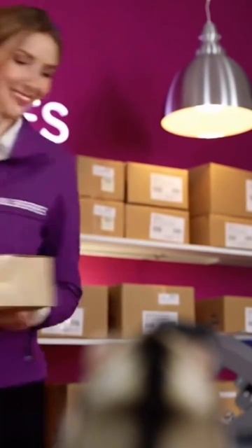 Хомяк на Вайлдберриз