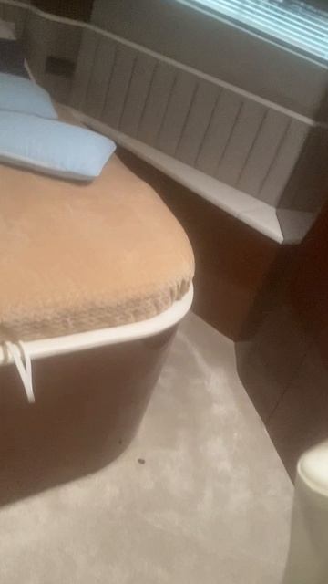 Чайка. Гарик Сухачев