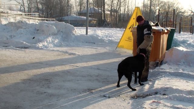 HDV_5785 Тула 25.01.2026 пров РК Рейган Рей