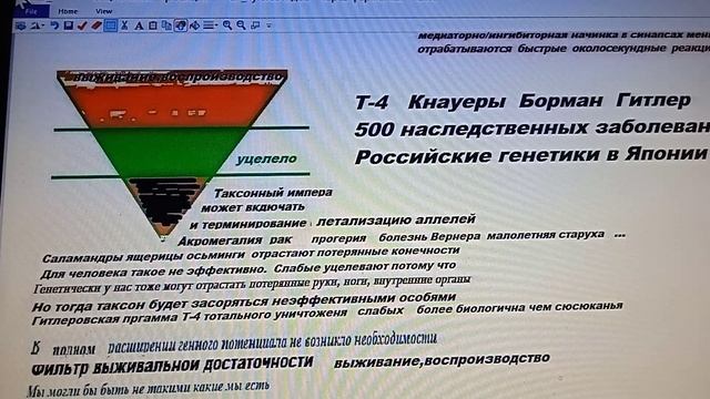W.5.7  Т-4  Кнауер Борман Гитлер Япония