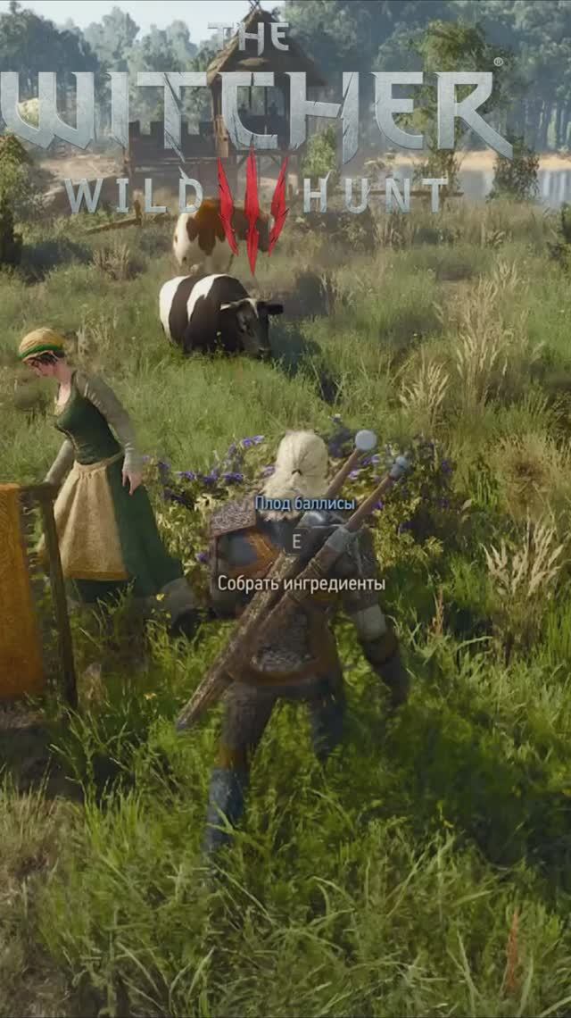 Подставил всю деревню в The Witcher 3. Им теперь живётся веселее