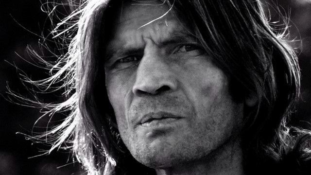 Пушистый хвост лисицы (Ступин-AI Cover)