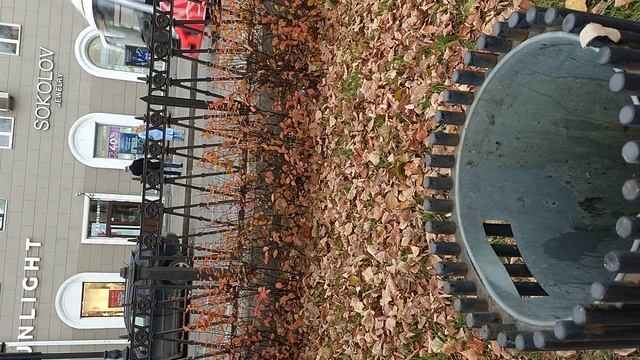 №876 Комсомольский проспект. 11 октября 2025 г., 15:15:59 VID_20251011_151553420