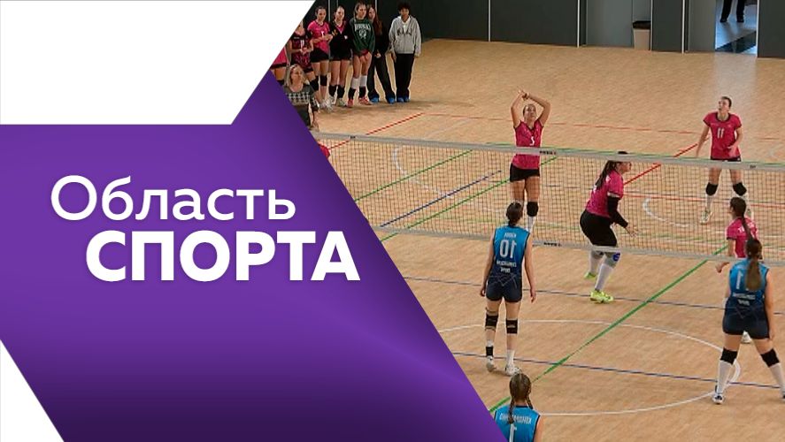 Область спорта №347