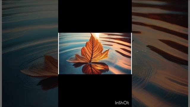 Мне бы быть.....