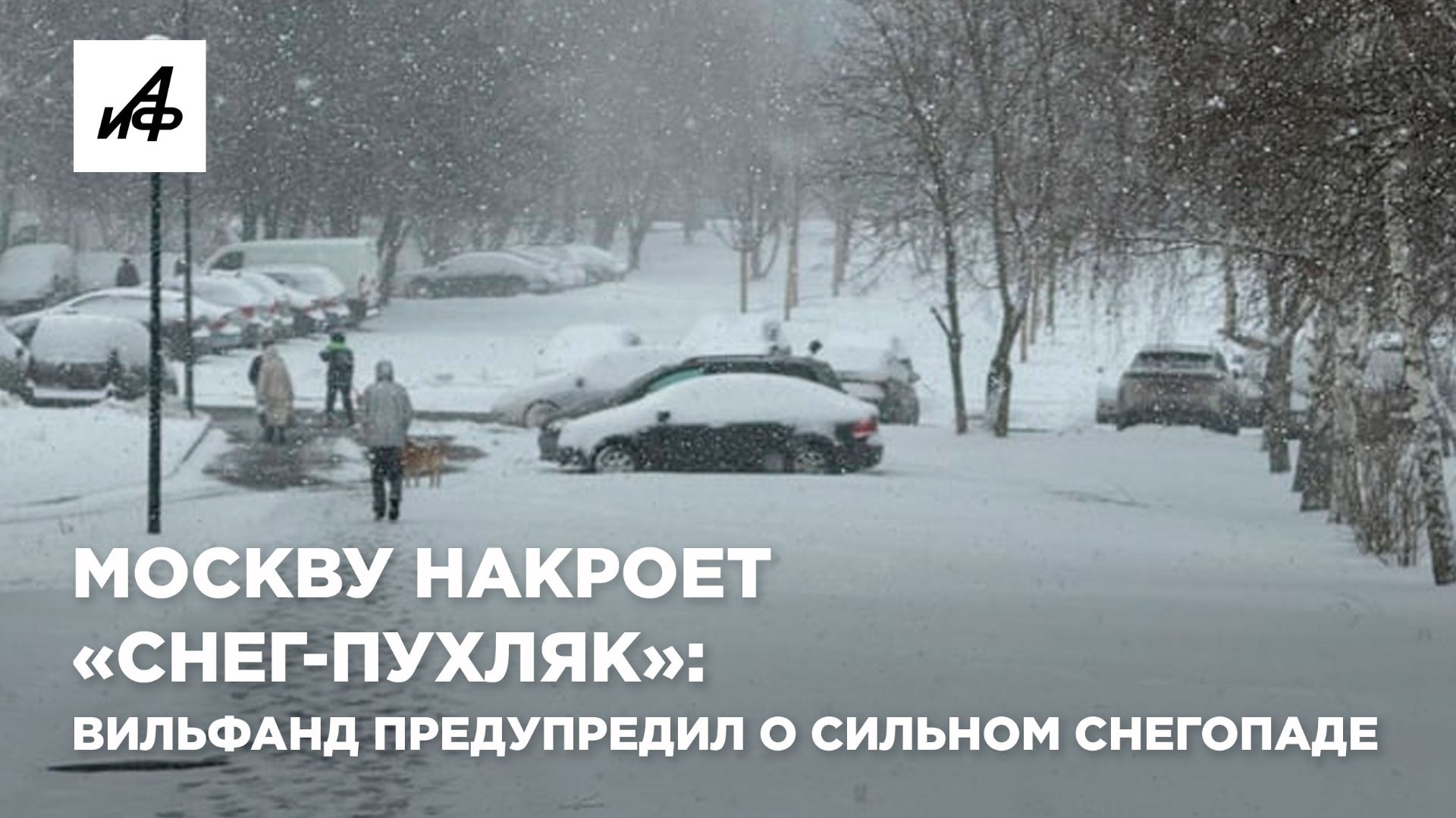 Москву накроет «снег-пухляк»: Вильфанд предупредил о сильном снегопаде