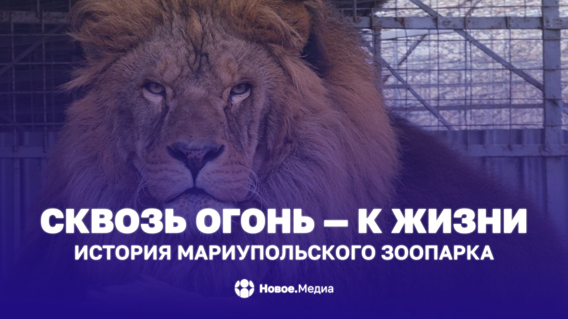 Мариупольский зоопарк: уровень «Выживший»