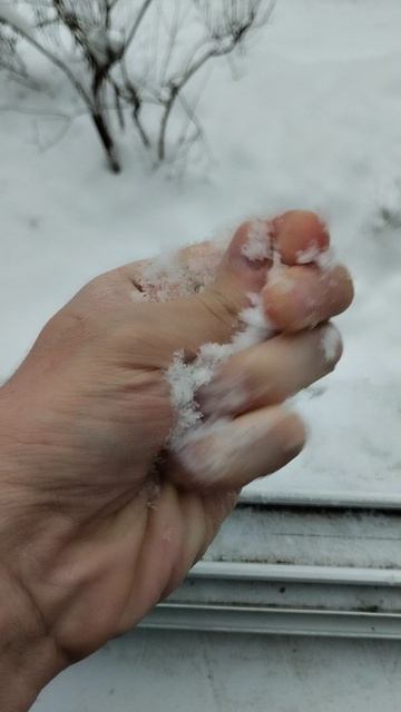 PXL_20260127_094317568