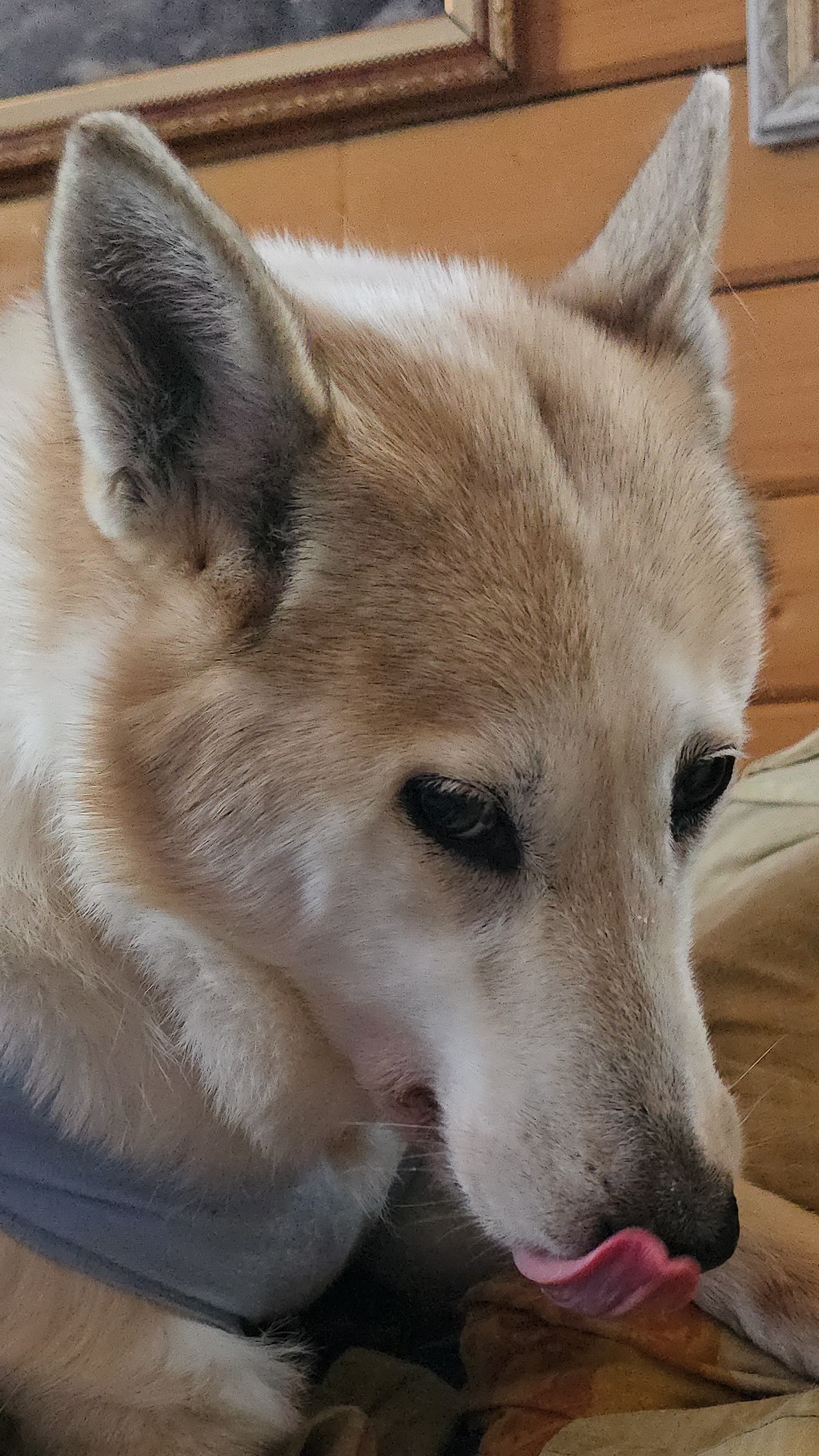 Творог в постель