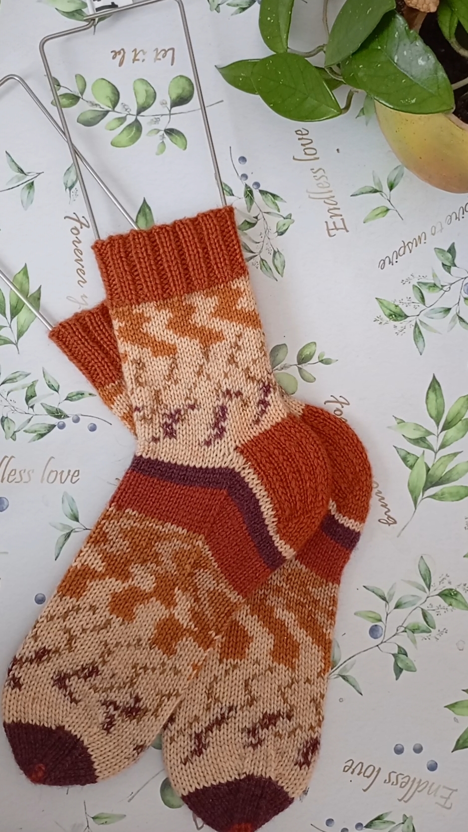 СП "Бешеные носки" отчет января