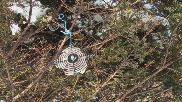 Сало для синичек.mp4