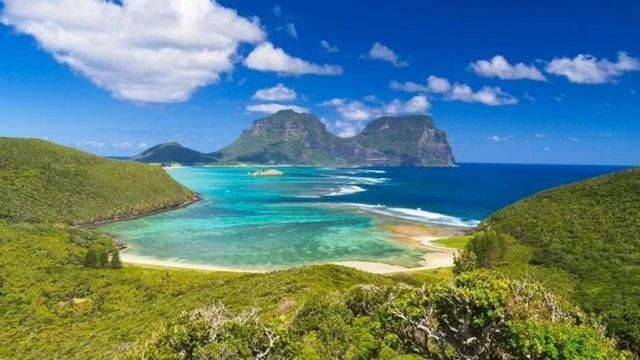 Растения и животные Австралии и Океании