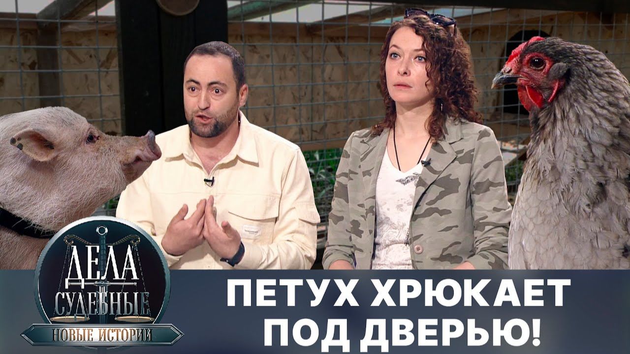 Дела судебные с Еленой Кутьиной. Новые истории. Эфир от 28.10.24