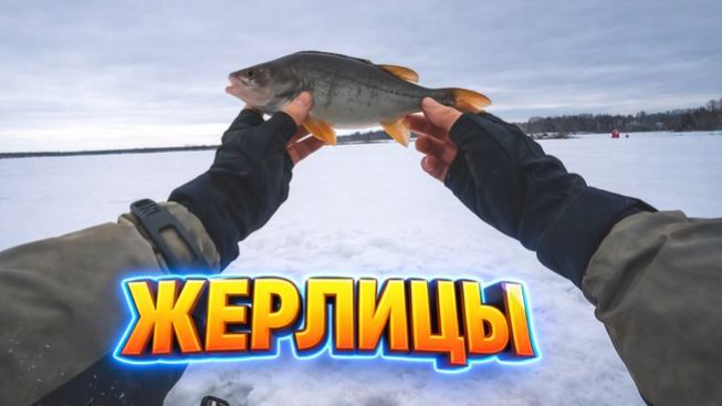 открытие ЖЕРЛИЧНОГО сезона 2026. ЛОВИМ ЩУК и ОКУНЕЙ, а они КЛЮЮТ ????