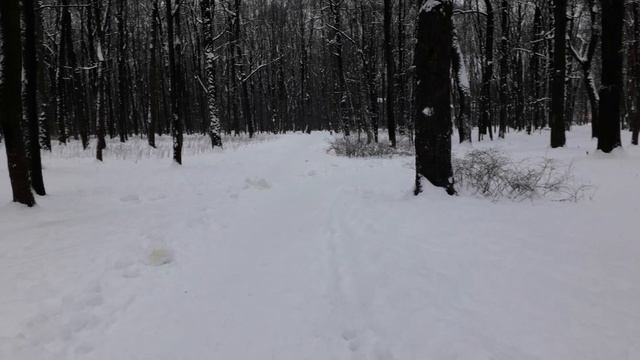 Санкт-Петербург, Новороссийская, 18, МФЦ, парк Лесотехнической Академии.