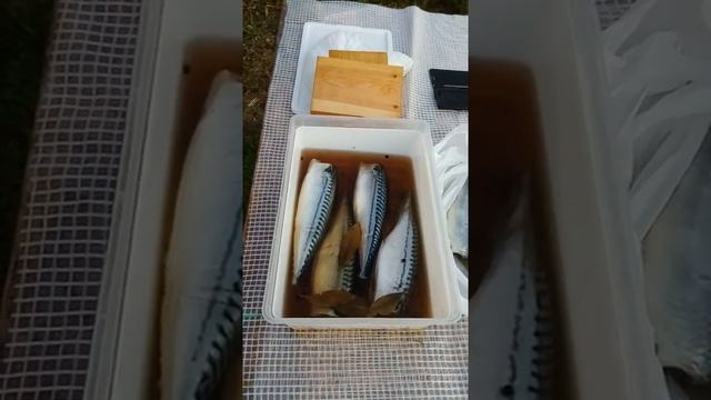 Часть 1, подготовка