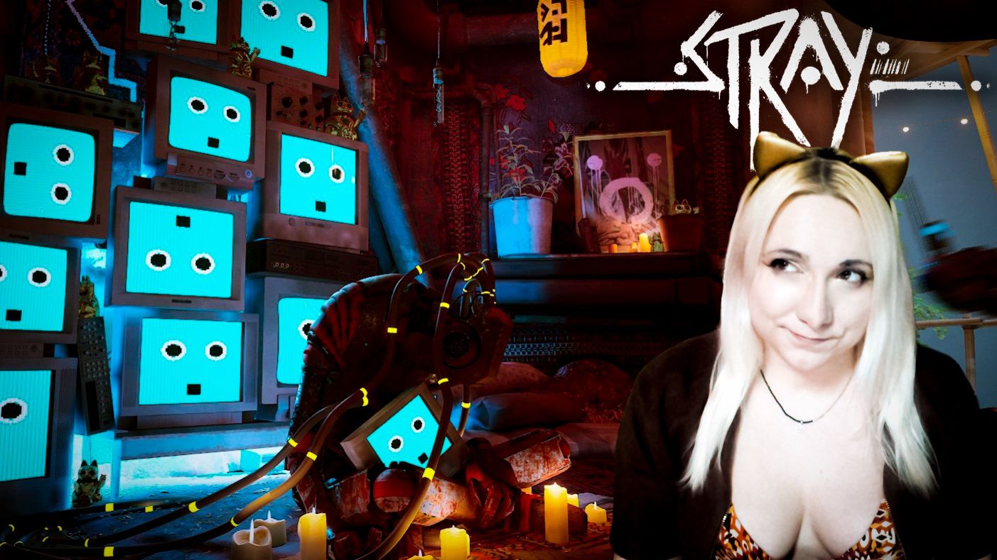 Котик в большом городе ( Stray #2 )