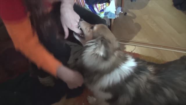 2023 Лета Блэкки апрель