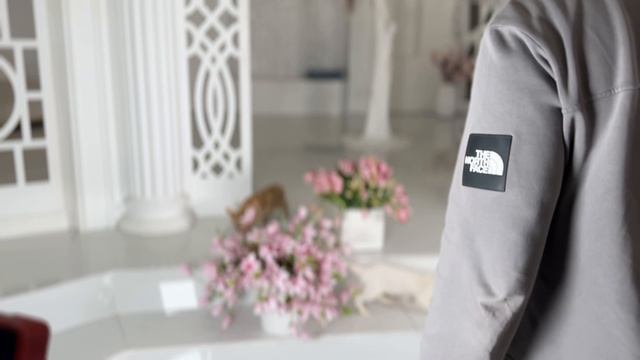 «РосКош» Девон-рекс / Бэкстейдж