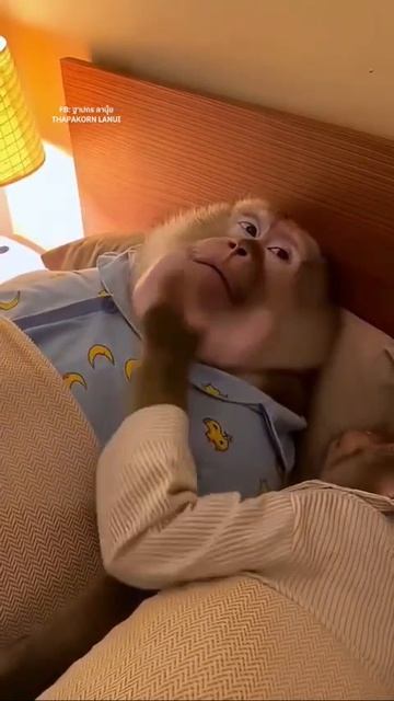 Прекращение храпа