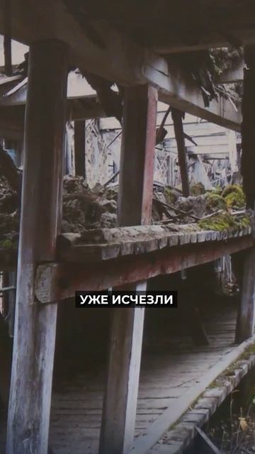 📍В Новом Уренгое открыли выставку об утраченных объектах 501-й стройки #новости #ямал #янао