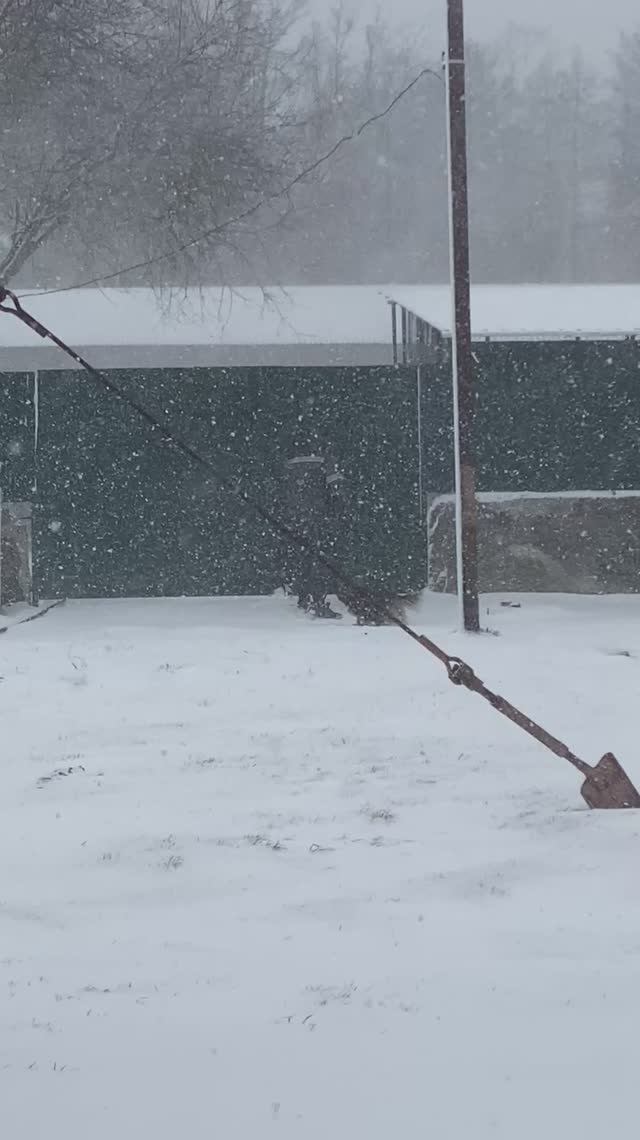 9 марта 2023 года . Миша первый из приемника