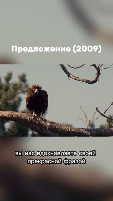 «Предложение» (2009)