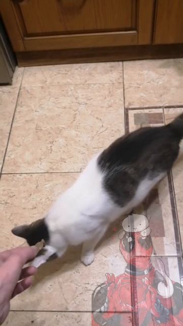 Дядя Пулъ и Мурзик из Прошлого ✓ Видео из 2023 года 😼🫶😎