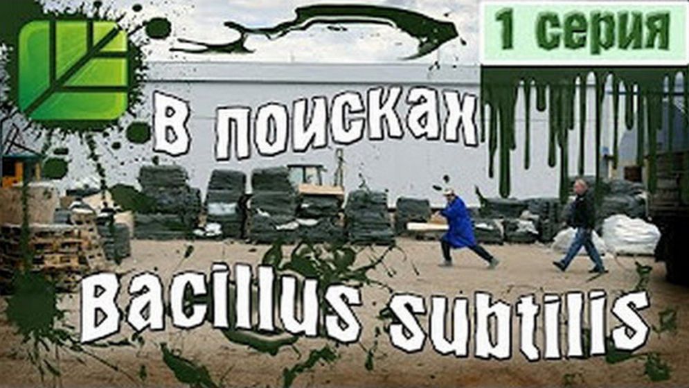 Сериал В поисках Bacillus subtilis 1 серия Иностранный ученый Башинком