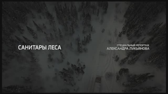 Санитары леса. Специальный репортаж Александра Лукьянова