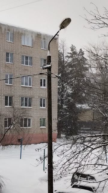 PXL_20260127_094133841