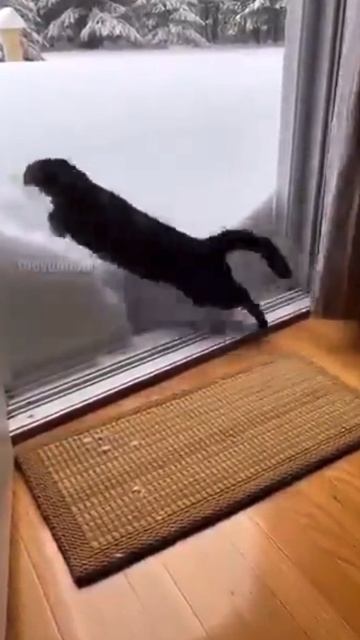 😅👍 я же говорю - там холодно 🥶