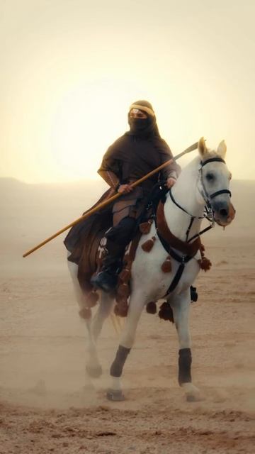 1000 и одна ночь