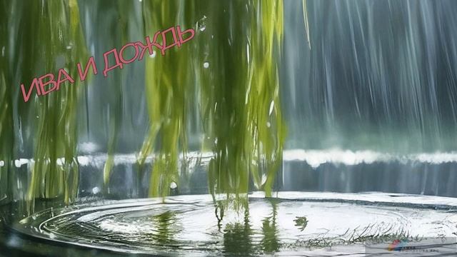 ИВА И ДОЖДЬ - Жанна Вишнякова Арс
