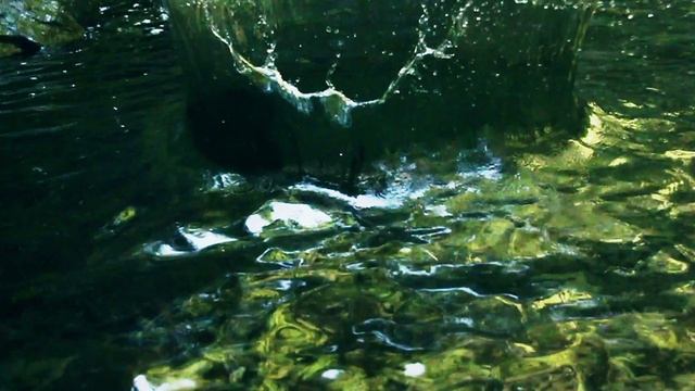 Пыль и вода - ТАЙМЛАПС