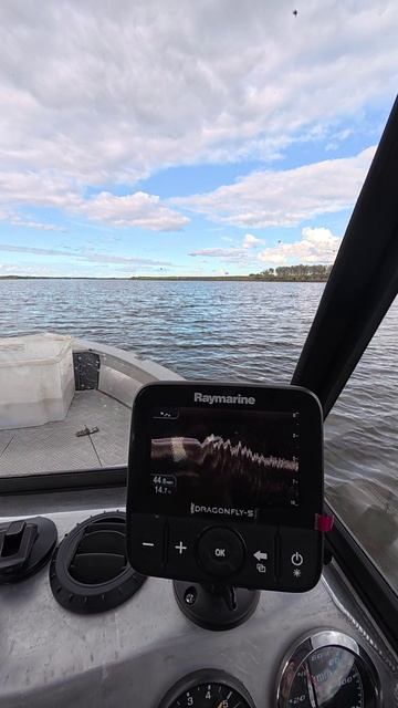 Эхолот Райнмарин 5 отрисовка ДНА на ходу!!!