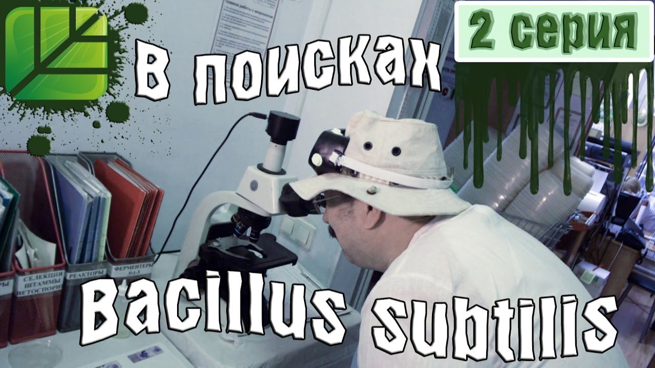 Сериал В поисках Bacillus subtilis 2 серия Влюбленный в микромир Башинком