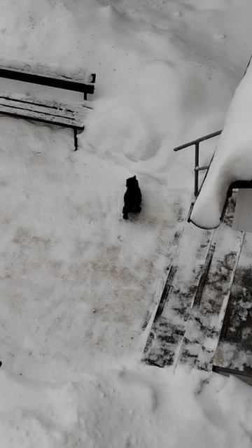 PXL_20260128_100438571