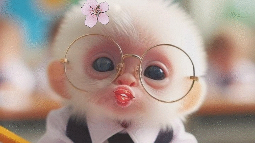 Скетч -шоу. Прикольные музыкальные видеоролики.