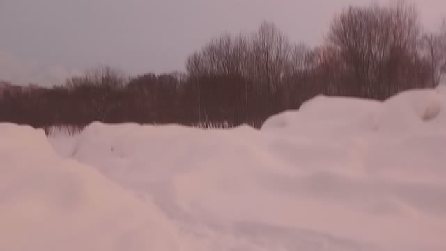 Утренняя прогулка а снег идет а снег идет