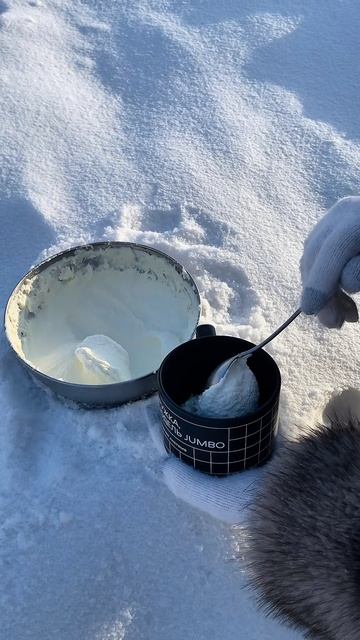 То самое мороженое на снегу 🍨
