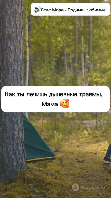 Милое видео 14.04.2025г