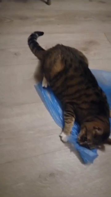 Как плохо они вымыли пол!