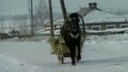 Архив ГТРК "Кузбасс". Пульс с Александром Сусоевым (1997)