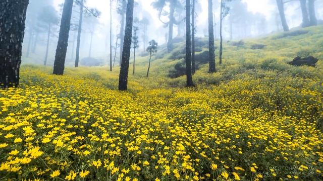 ОСТРОВ В НЕБЕ II - ТАЙМЛАПС