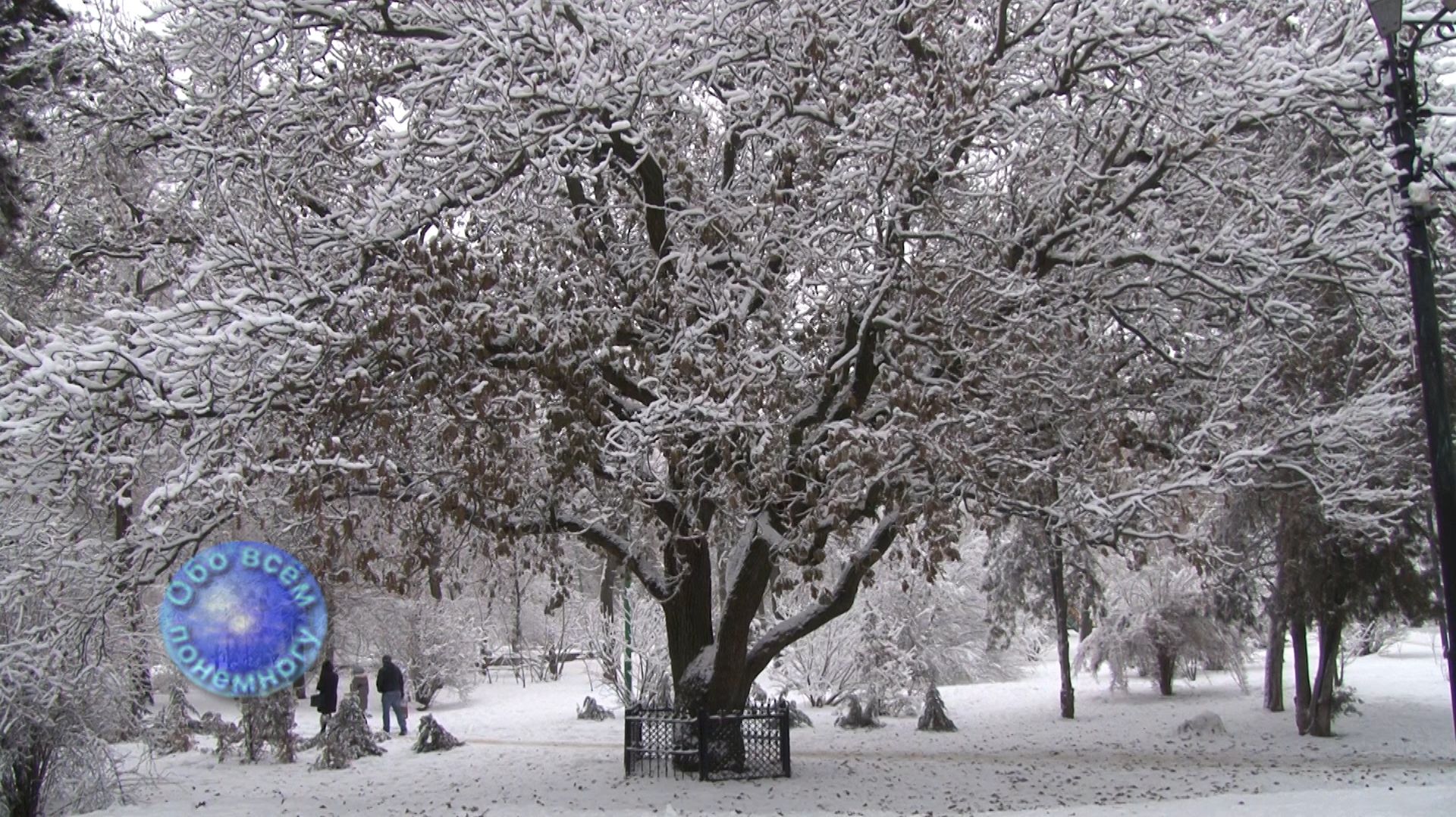 Зарисовка на песню Ивана Резанова "Снег"