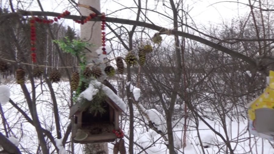 Рефтинский. Зимний лес.28 января 2026г.